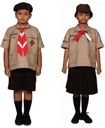 Tingkatan dan Golongan Dalam Gerakan Pramuka Indonesia - KURIKULUM MERDEKA