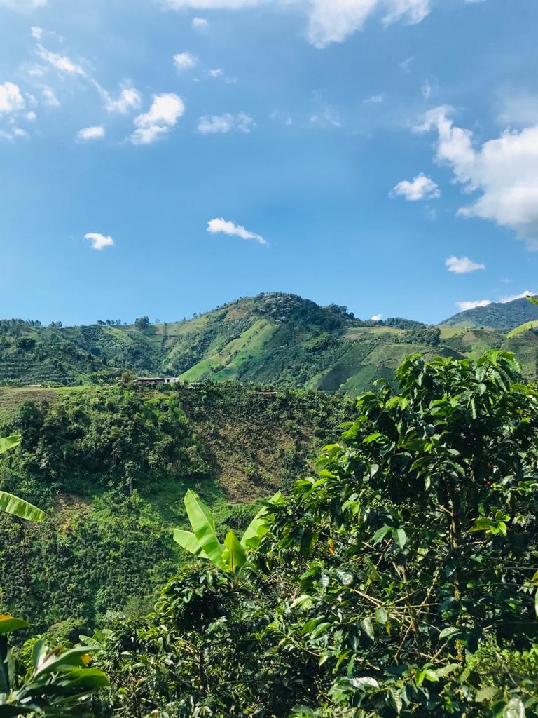 De paseo por Calarcá, Quindío.