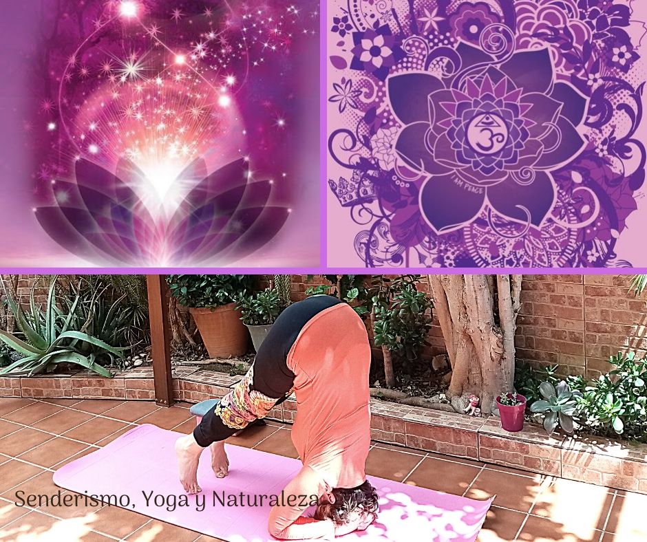 SENDERISMO, YOGA Y NATURALEZA: CHAKRA SAHASRARA O CORONILLA