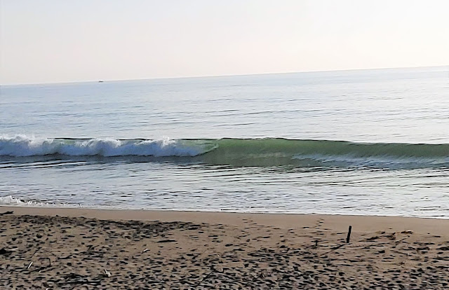 ガッキーサーフショップ 宮崎サーフィン体験＆宮崎サーフィンスクール受付中: VESSO SURF BOARD NEW MODEL 「MAMBA ...