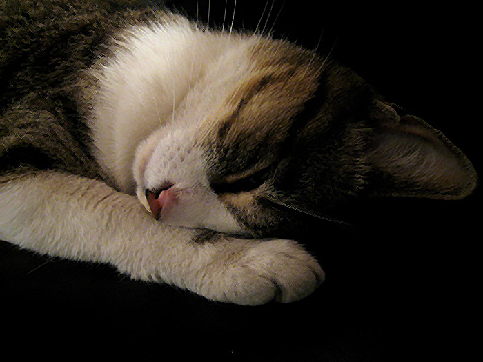 AAA ACCADEMIA AFFAMATI AFFANNATI: Frullato di banana, cacao, caffè. Con ...