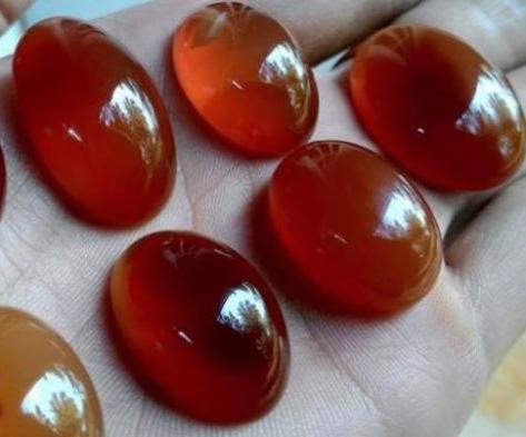 Red Rafflesia - Batu Akik dari Propinsi Bengkulu | BATU AKIK