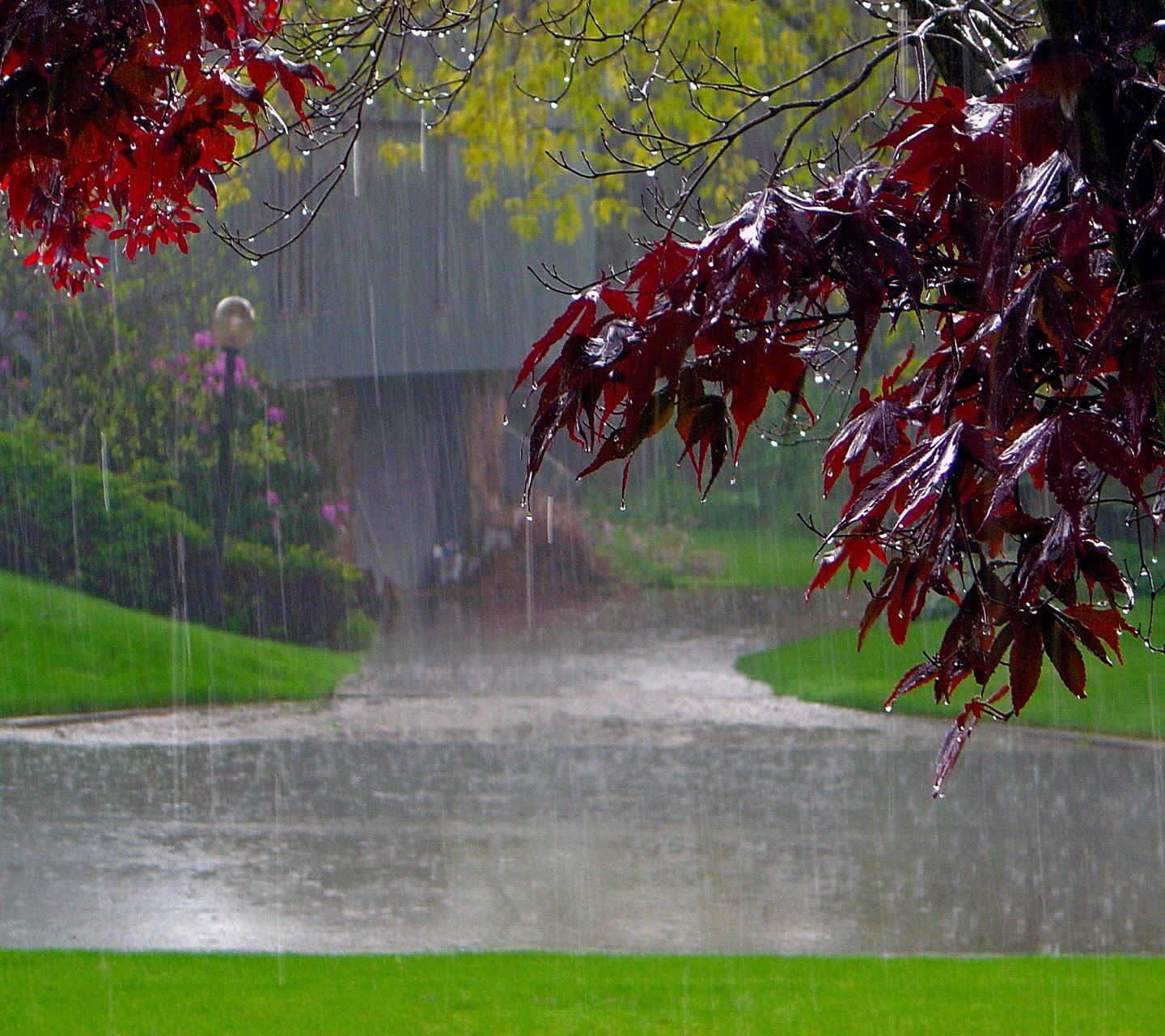 Poetry for Lovers : Sawan Ki Phli Barish Men,