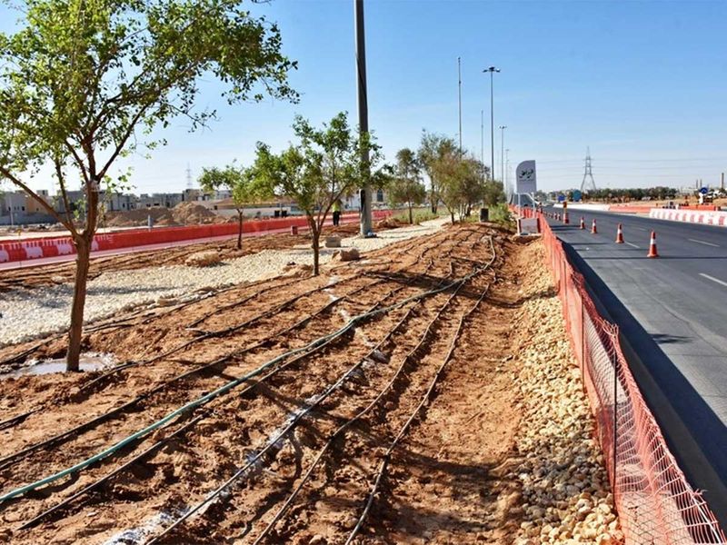 SAUDI IQAMA HELPER: See how Saudi Arabia is making Riyadh green