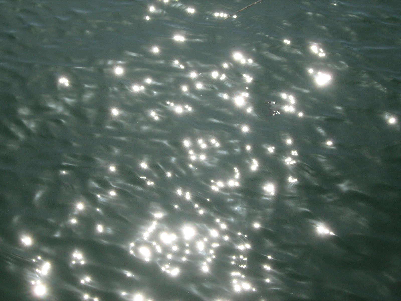 Truth and Beauty: Gone, but not forgotten