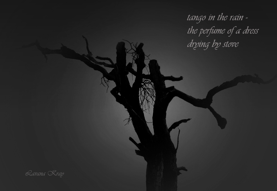 Photo-haiku: NHK World - Haiku Masters. Ep.12 Special edition