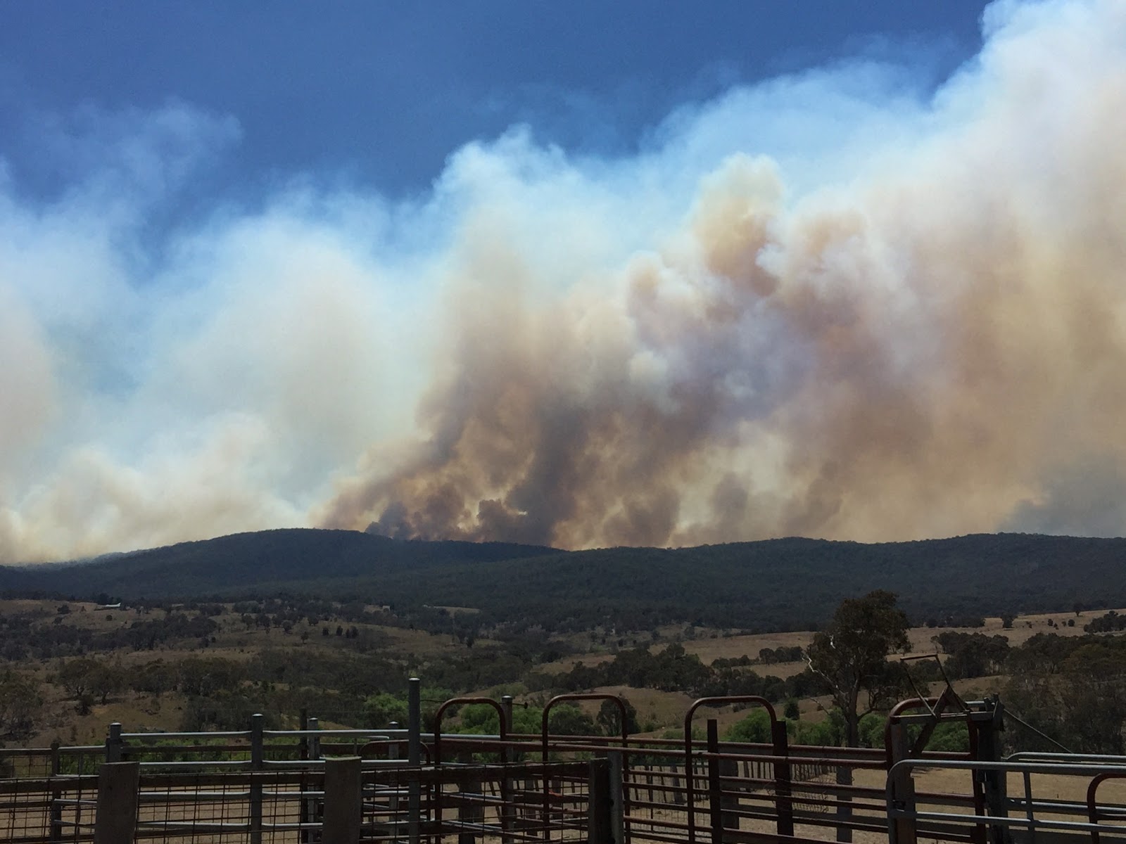 Tallaganda Wilderness Fire 2019-20: Chronology 24-29 November