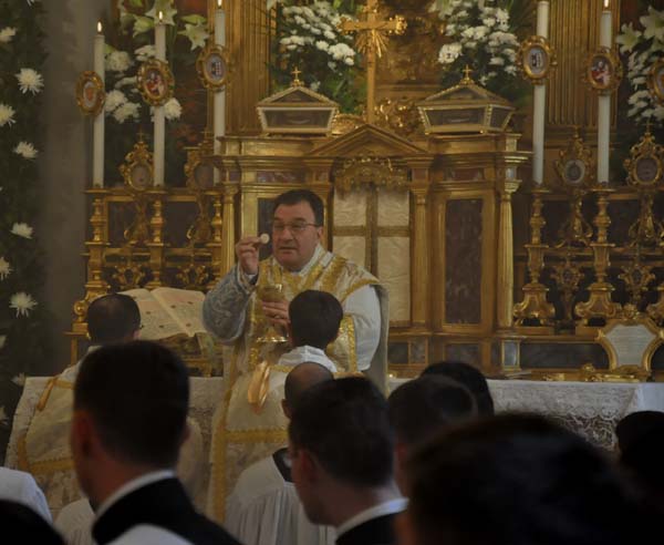 The Eponymous Flower: 11/20/11 - 11/27/11