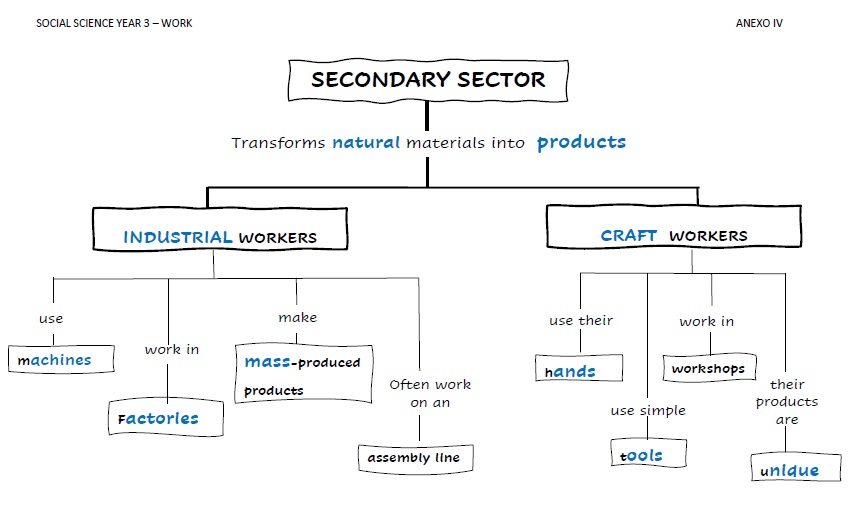 HG SCIENCE CORNER : SECONDARY SECTOR DIAGRAM - CORRECTION