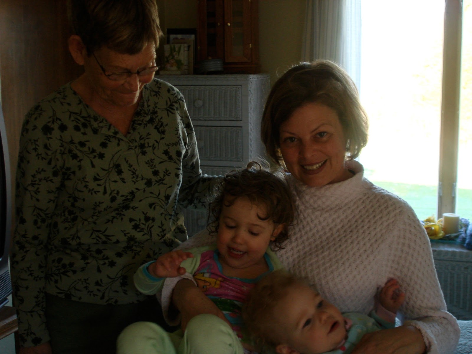 Gettysburg Ohio 45328: Sister Susan Jayne Menke North: 1954 - 2012