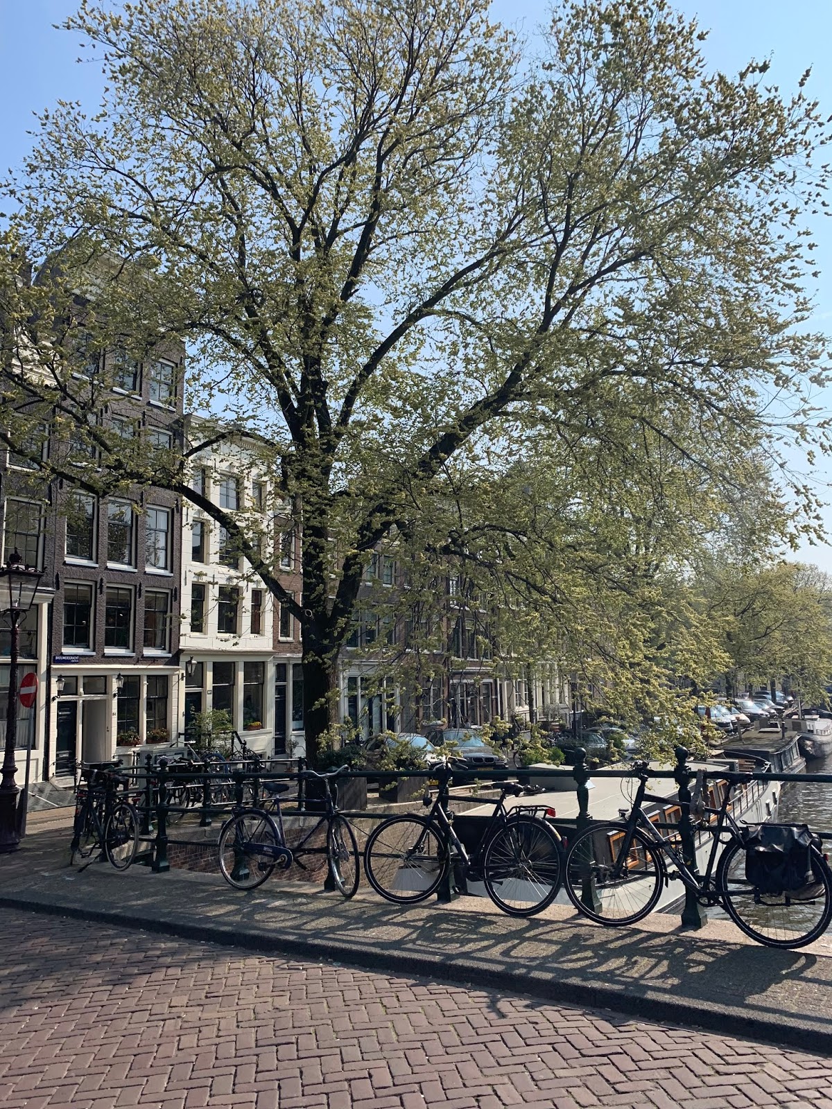 Travel // Amsterdam in Spring - Roses and Rolltops