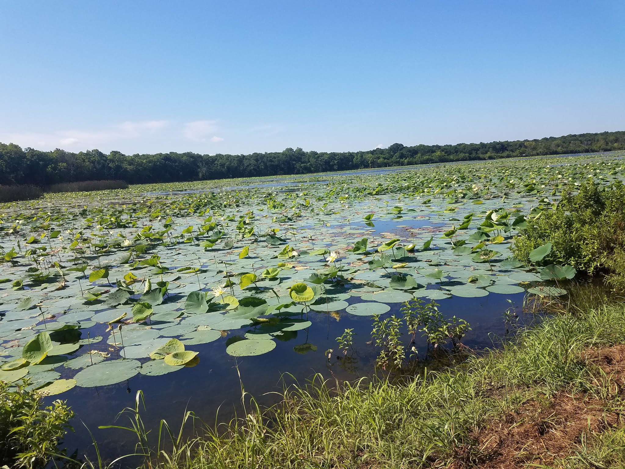Meadow Pond Trail - Hagerman National Wildlife Refuge
