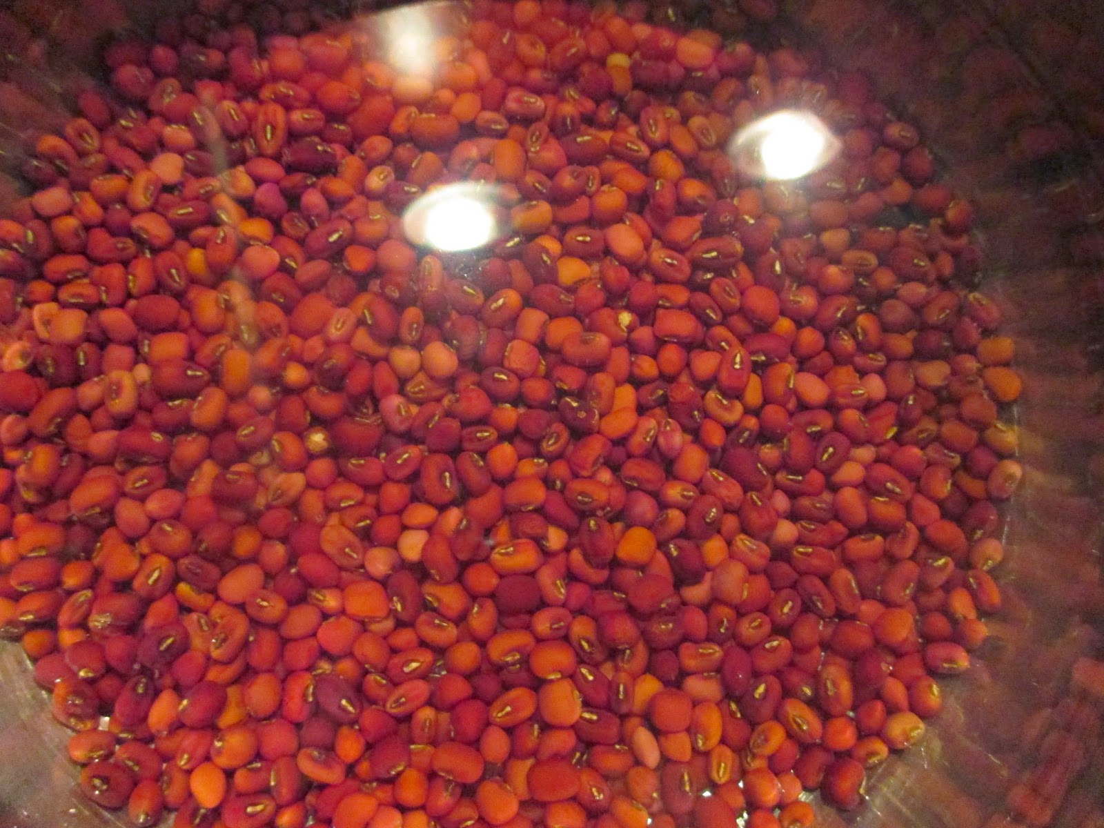 Otaku Family: Tsubuan und Tsubushian