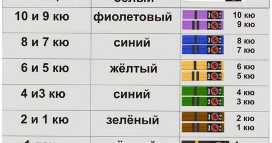 KUDO RENNES KUDO PRO: Kudo Belts System