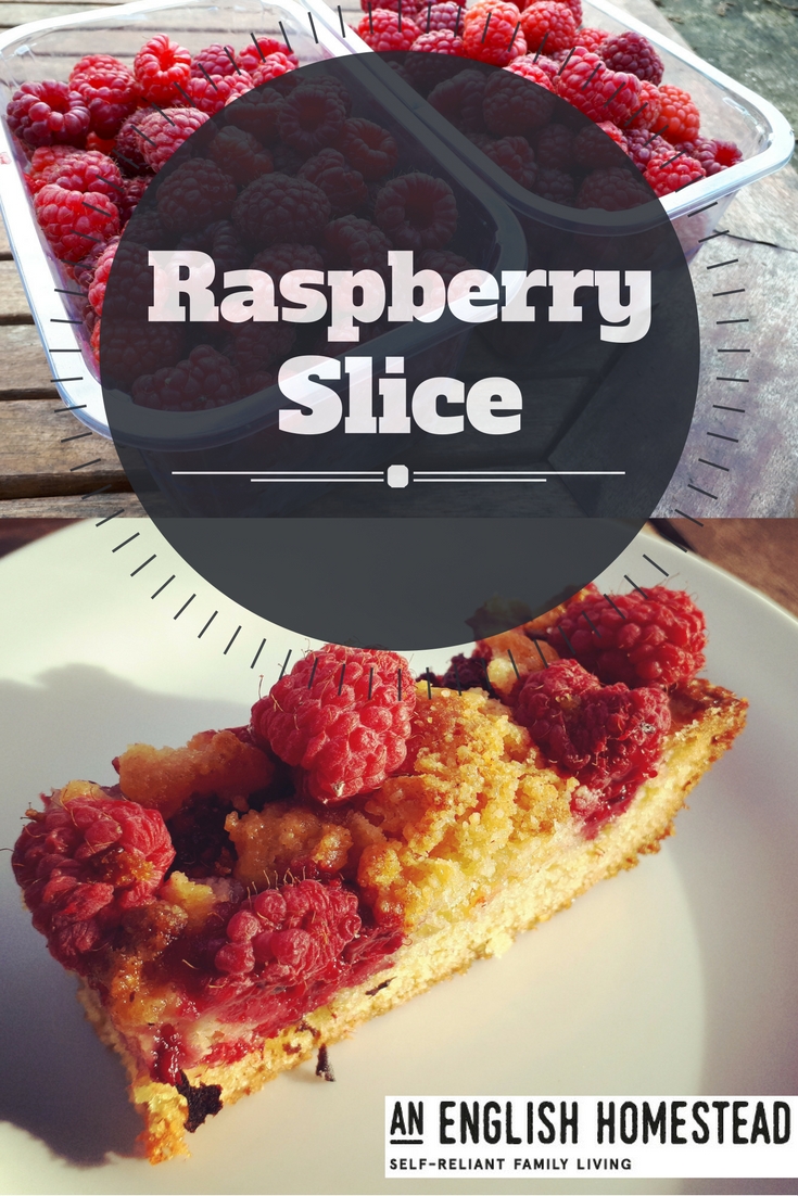An English Homestead: Raspberry Slice