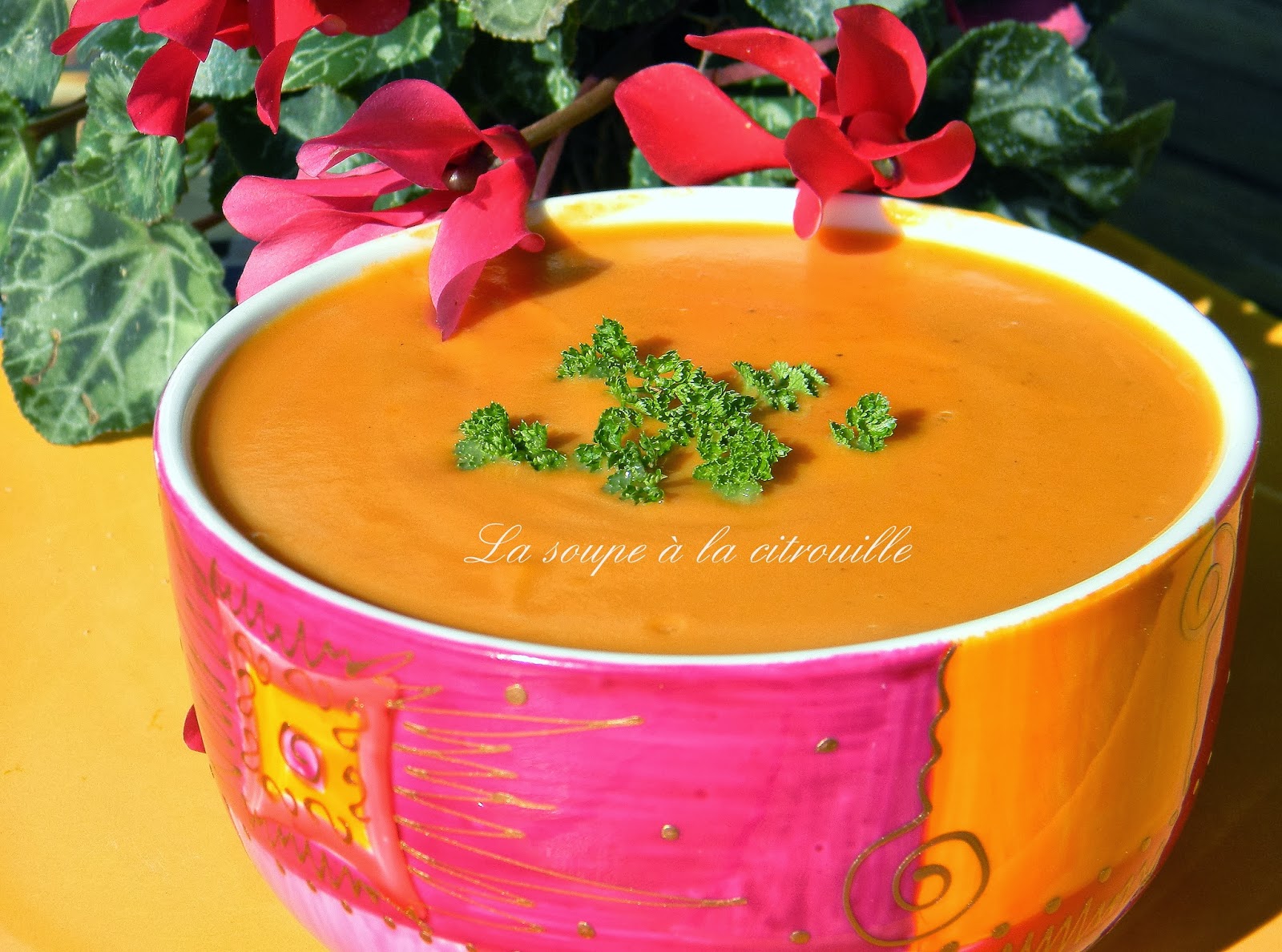 La soupe à la citrouille: Velouté de butternut au curry et lait de coco