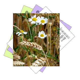 LiturgyTools.net: Hymns and songs about the Parable of the Tares ...