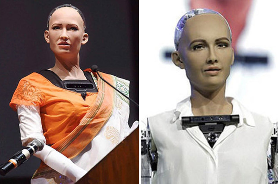 BN Rise: ALL ABOUT SOPHIA ROBOT ( SOCIAL ROBOT )