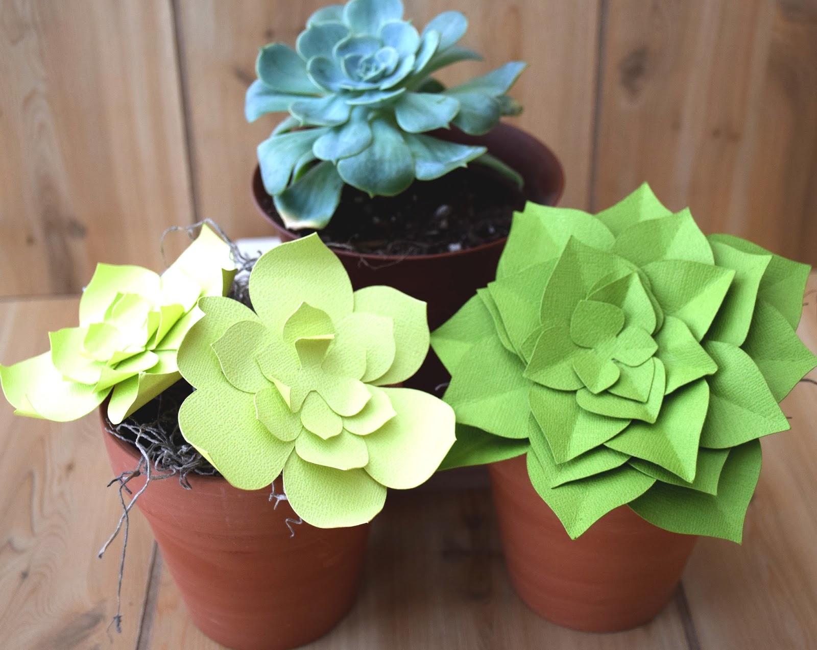 Doodlebug Design Inc Blog: Cardstock Challenge - Paper Succulents by ...
