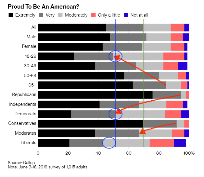 True Economics: 6/7/19: American Pride: Another Divide
