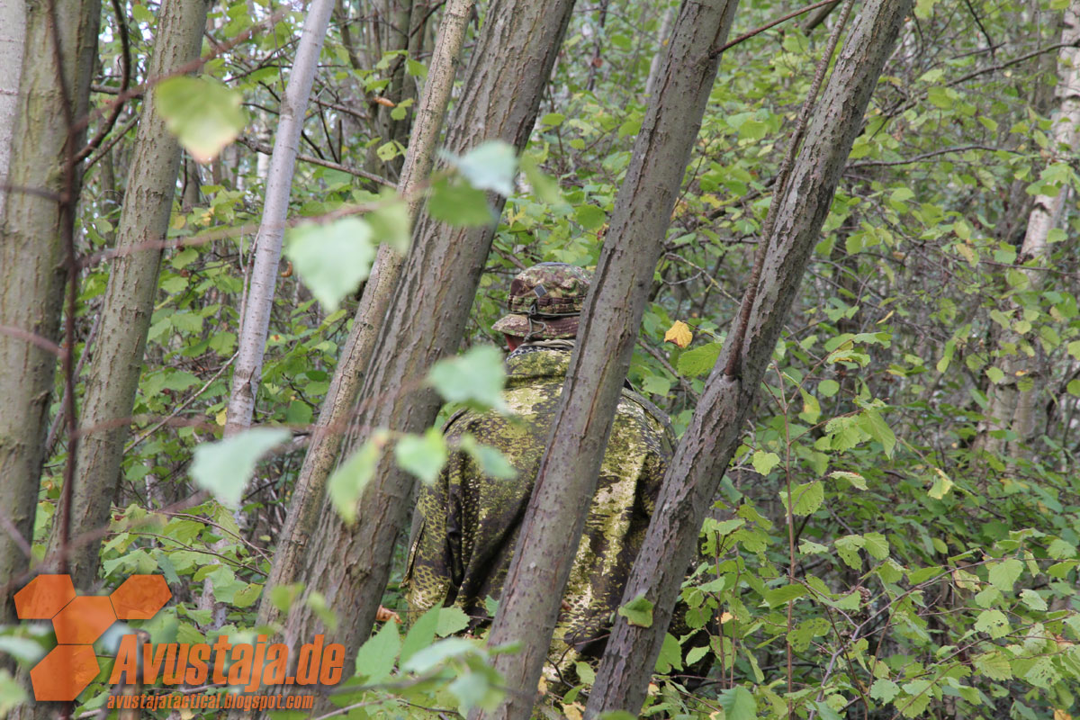 Avustaja Tactical Blog : Phantomleaf WASP II Z3a camouflage
