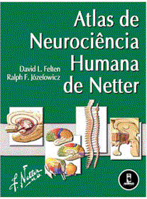 Atlas de Neuroanatomia Netter ~ ACUERDO ACADÉMICO 🎓