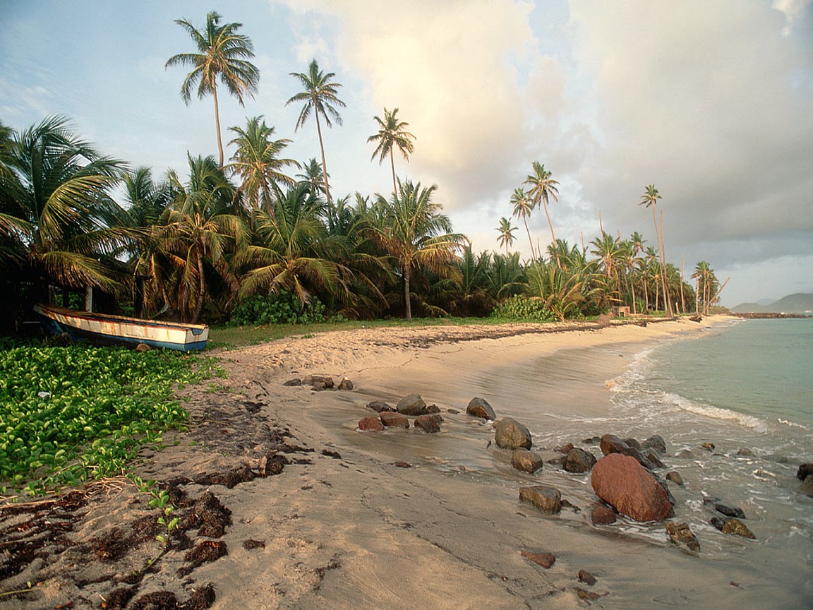 clip art and picture: free download amazing pictures