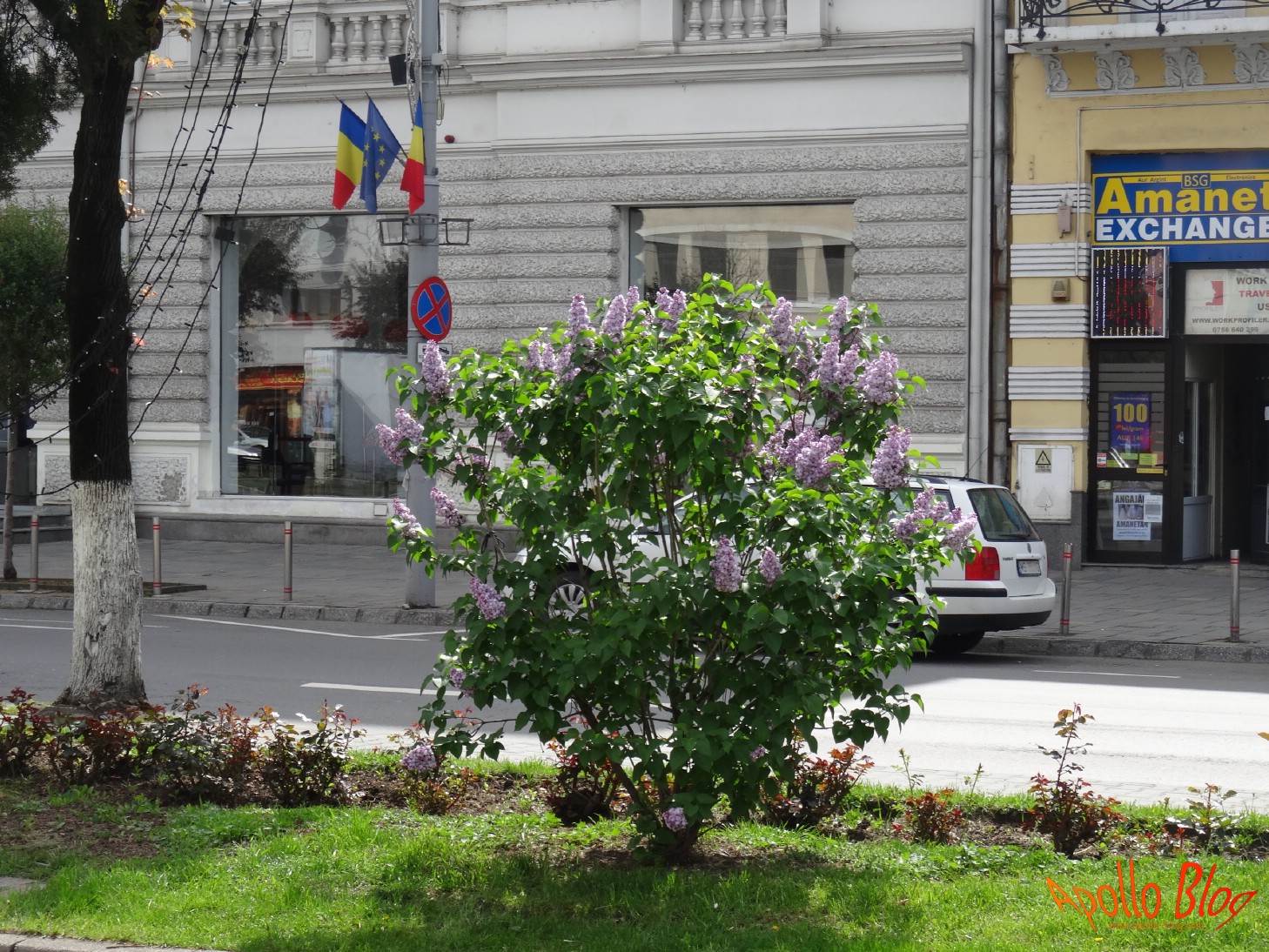 Apollo Blog: Targu Mures