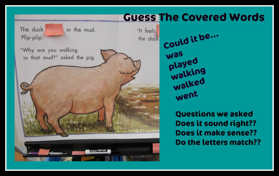 KC Kindergarten Times: Shared Reading Time