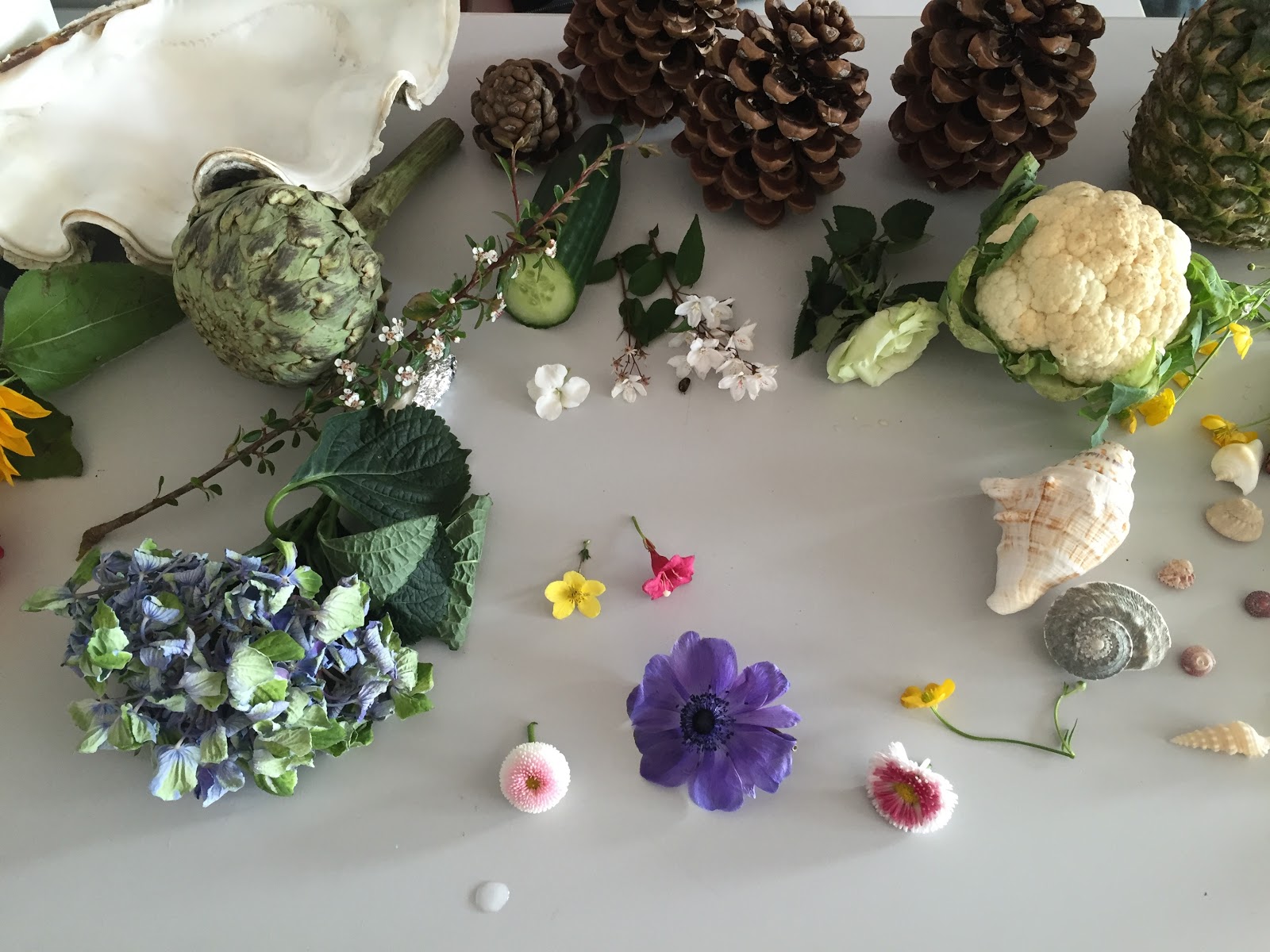 Enquiry-Based Maths: Finding Fibonacci Numbers in Nature