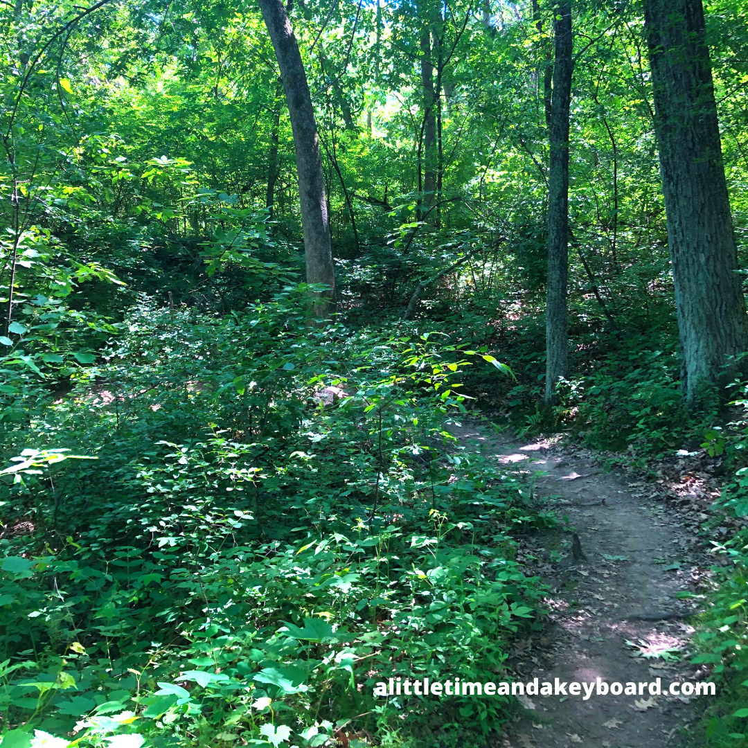 A Little Time and a Keyboard: Hiking Through Splendor at Kettle Moraine ...
