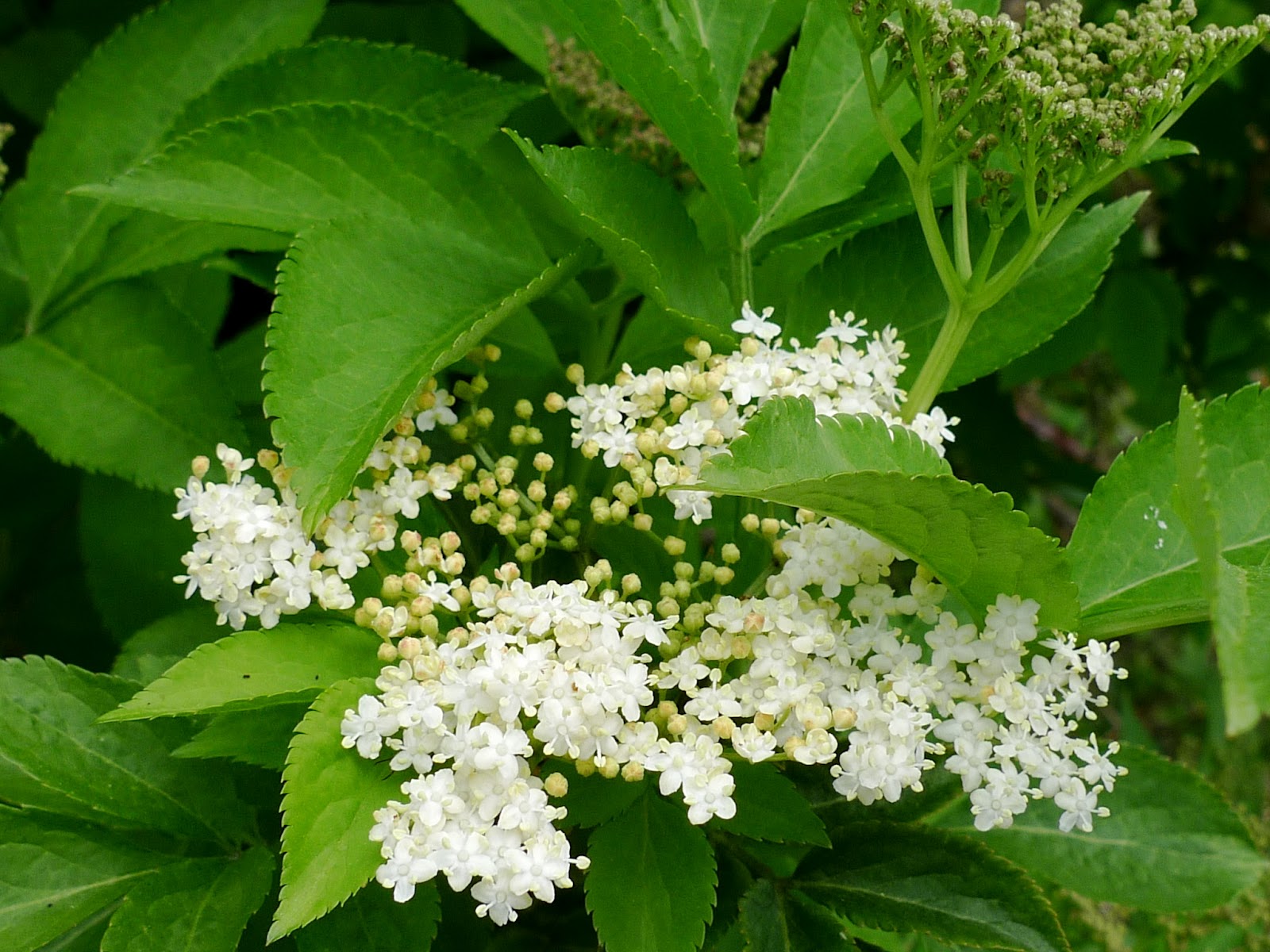 Simplicity is the New Black: May 2012