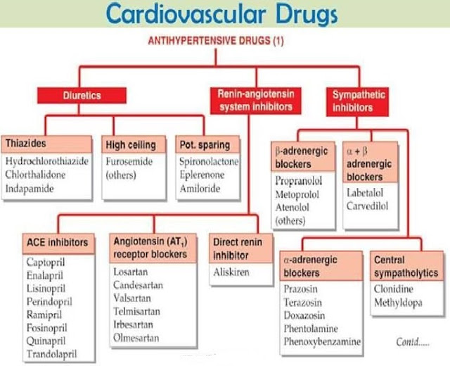 Classification Of Cardiovascular Drugs classification-of-cardiovascular-drugs