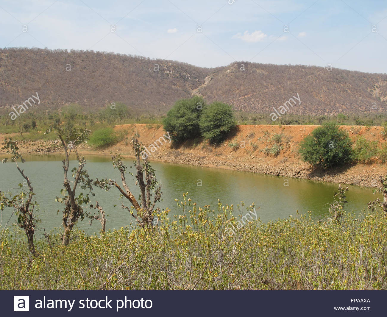 Johads, an age-old simple traditional water structures that can improve ...