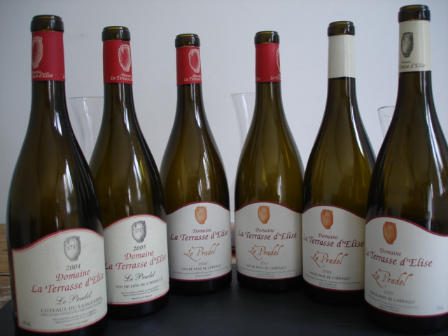 L'OEIL SUR LE VIN: Le Pradel, Domaine La terrasse d'Elise : verticale ...