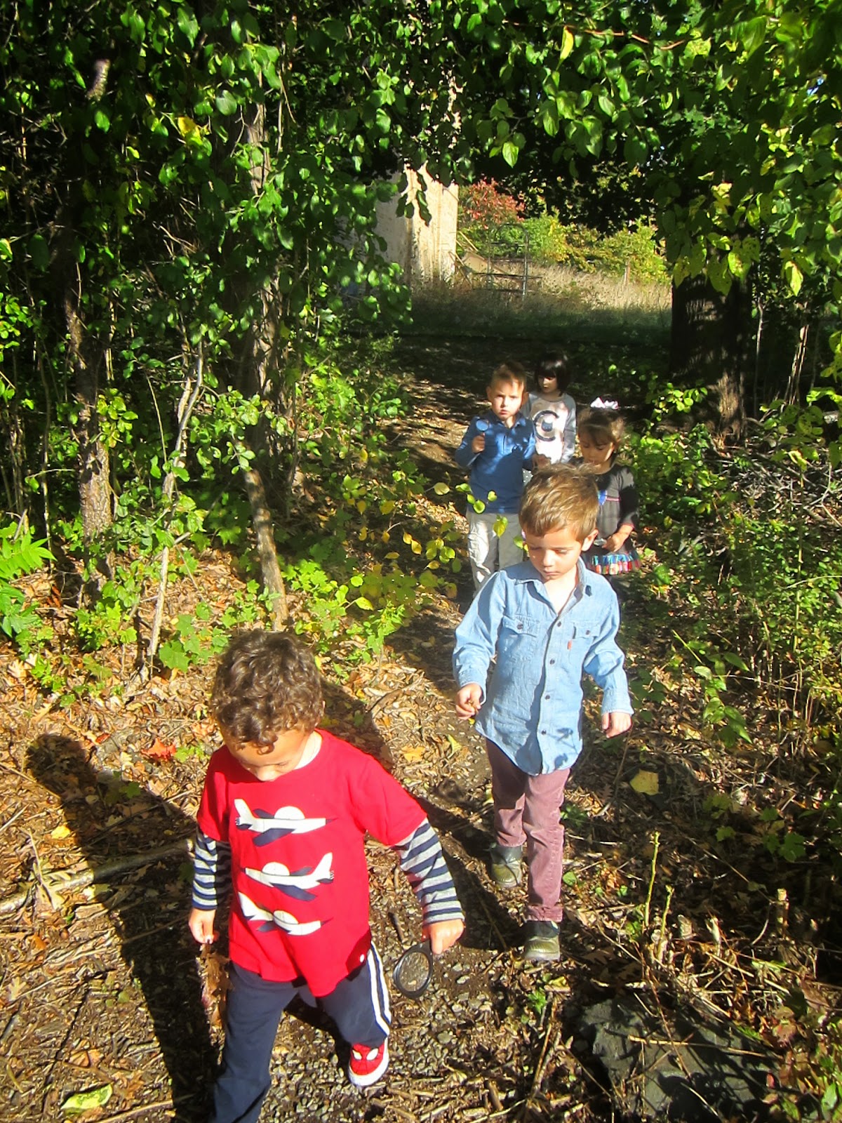 art and soul preschool: Outside In, Inside Out!