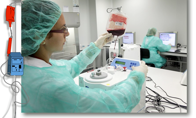 MEDICINA TRANSFUCIONAL - TU BANCO DE SANGRE DESDE CASA
