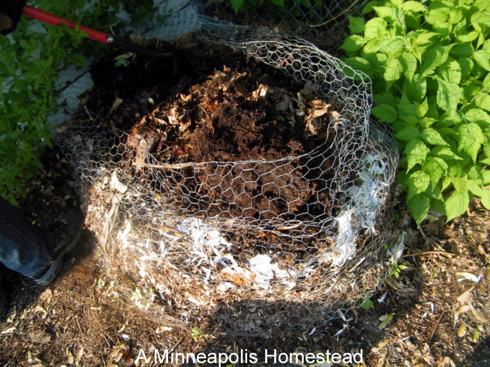 What Happens When You Don't Touch Your Compost Pile for 3 years ...