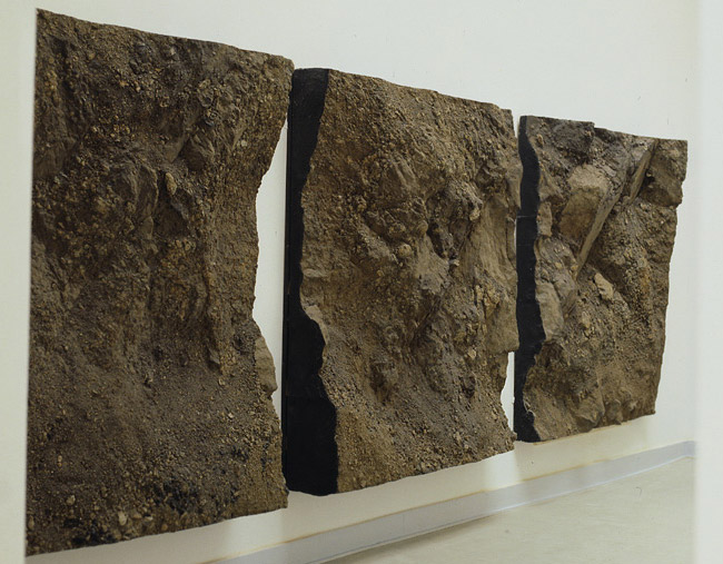 sjl photography: Macro Photography - The Boyle Family