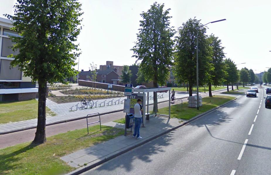 The Ranty Highwayman: If you go back to the woods today