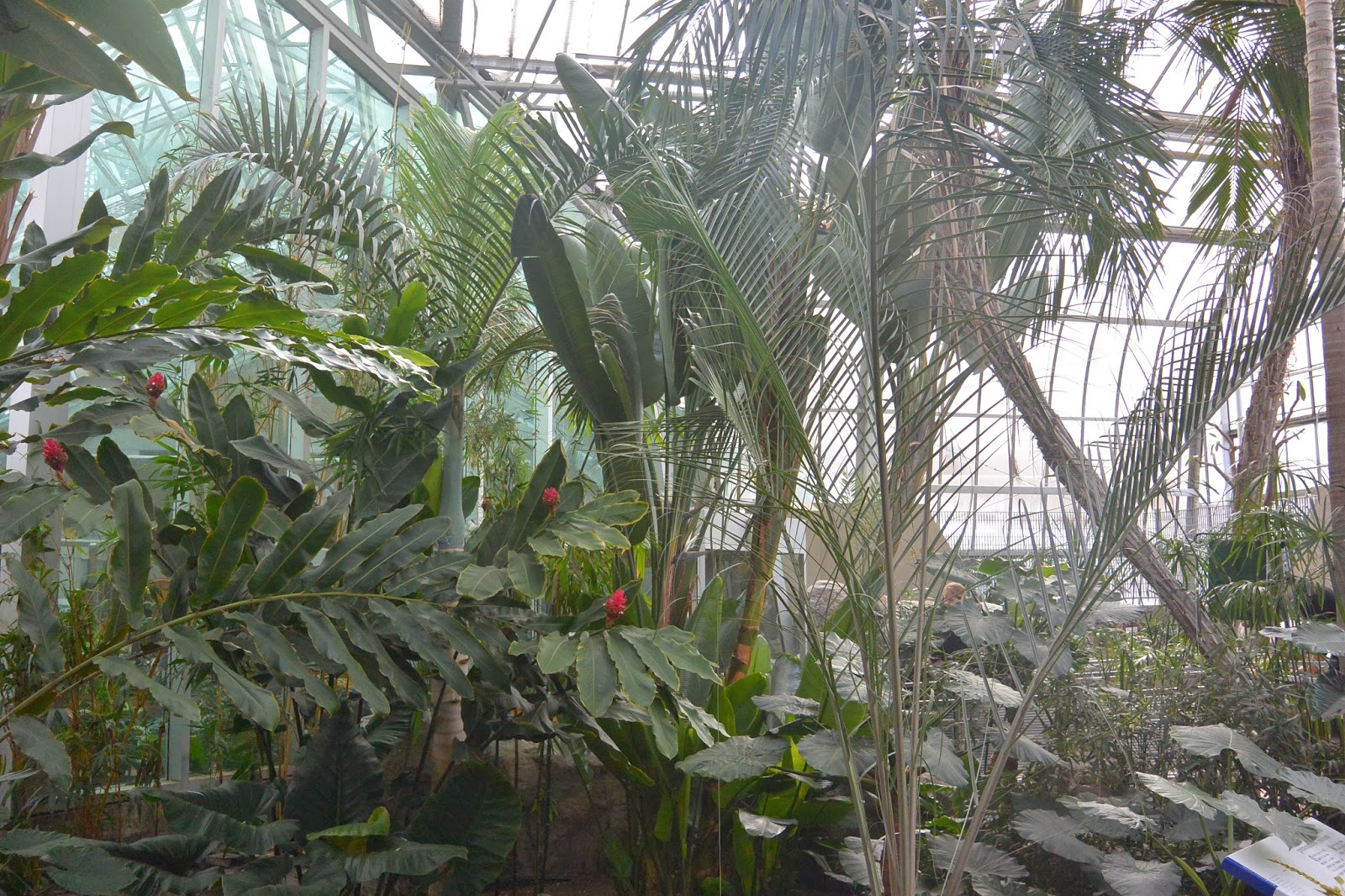 Les apprenties 12-15 de l'Horizon à travers le monde: Le Jardin ...