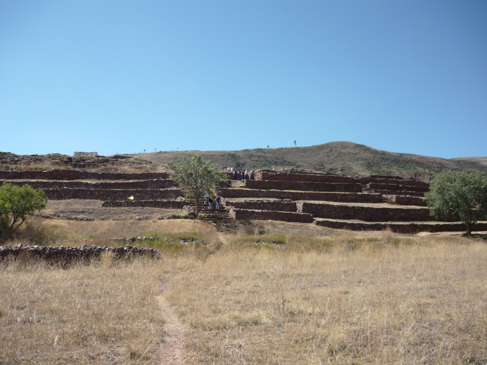 La minca o minga | Lizerindex