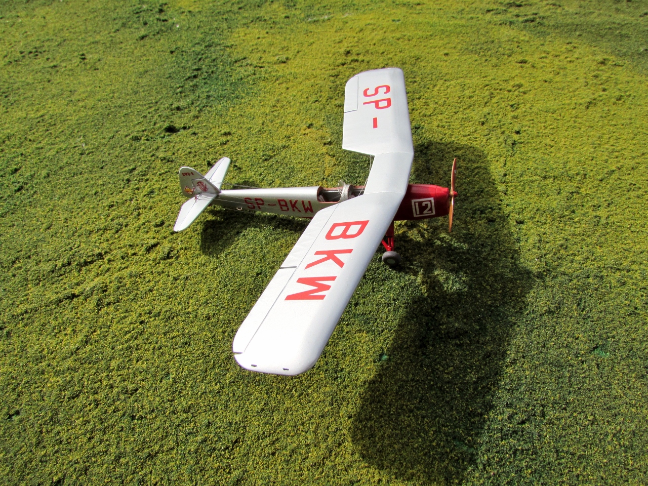 RWD-8 Parasol monoplane, PZW-72 kit, 1/72 - Ready for Inspection ...