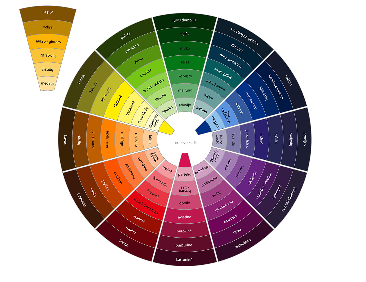 Molio vaikai: Spalvų ratas