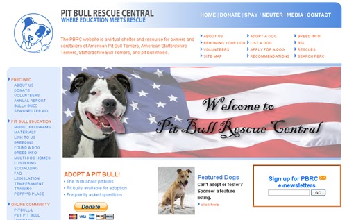 Lincoln Pit Bull Rescue: AS MAIORES ONGS E GRUPOS DE PROTEÇÃO DE PIT ...