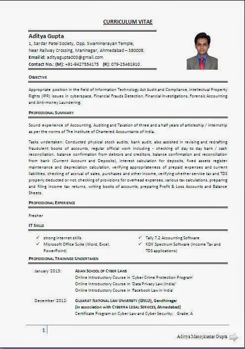 curriculum vitae international standard