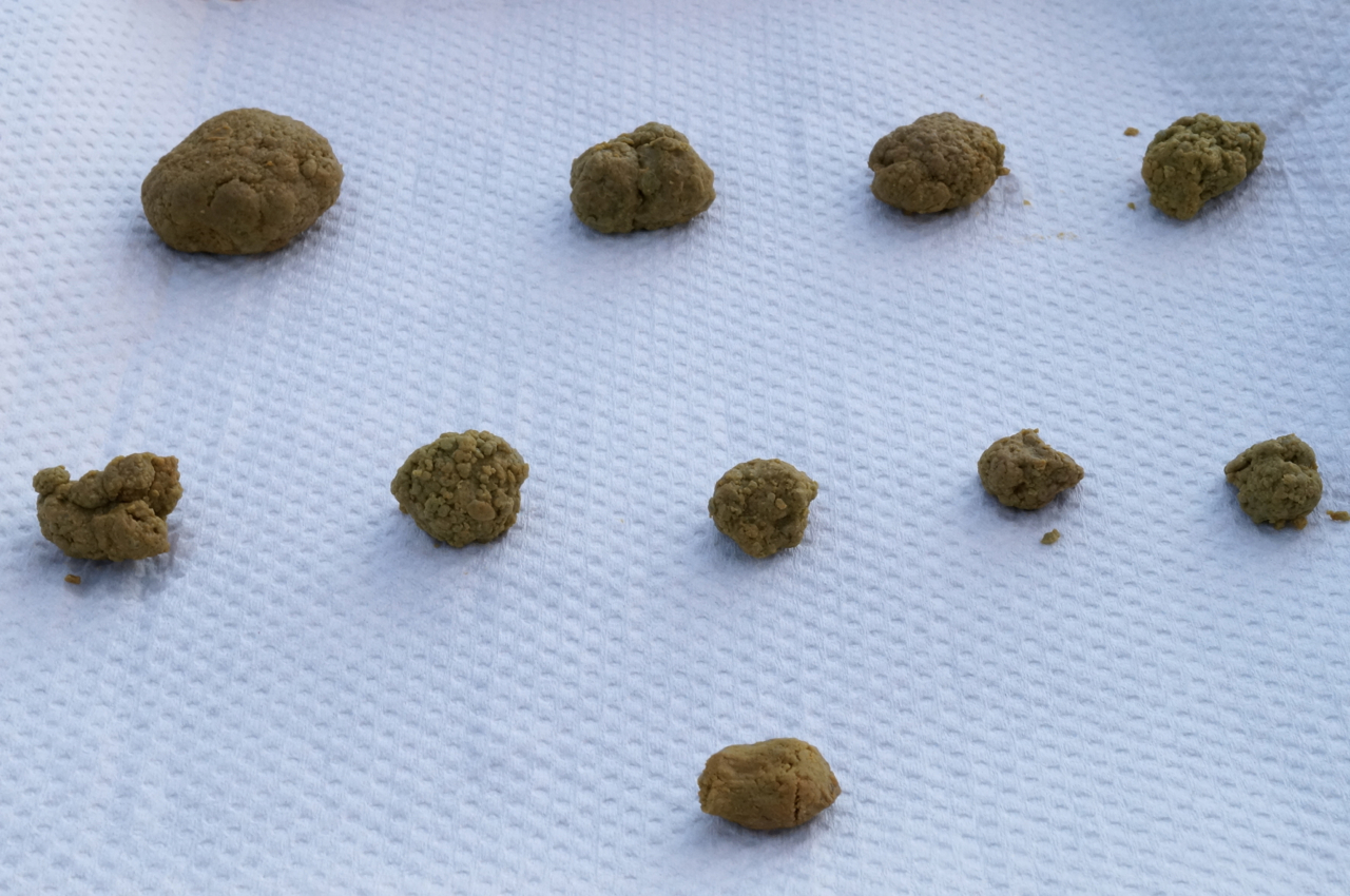 The Sunny Raw Kitchen: My Experience With the Liver and Gallbladder Flush