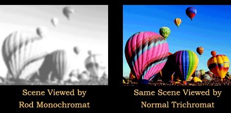 perceptionsense: Final Post