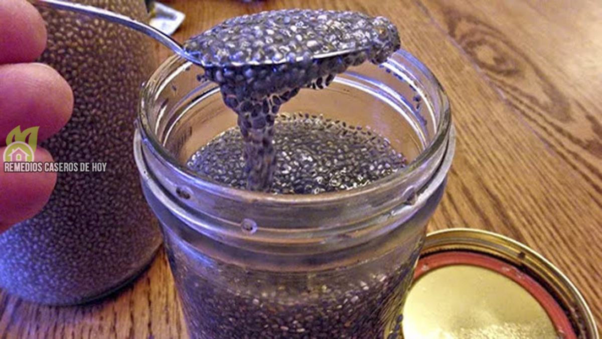 Como Debo Consumir Las Semillas De Chia Consejos Y Remedios como-debo-consumir-las-semillas-de-chia-consejos-y-remedios