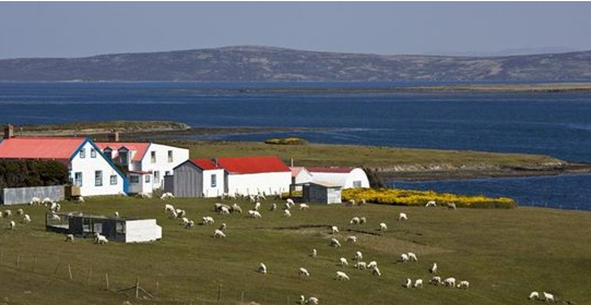 ADVENIAT REGNUM TUUM : NUESTRA SEÑORA DE LA SOLEDAD